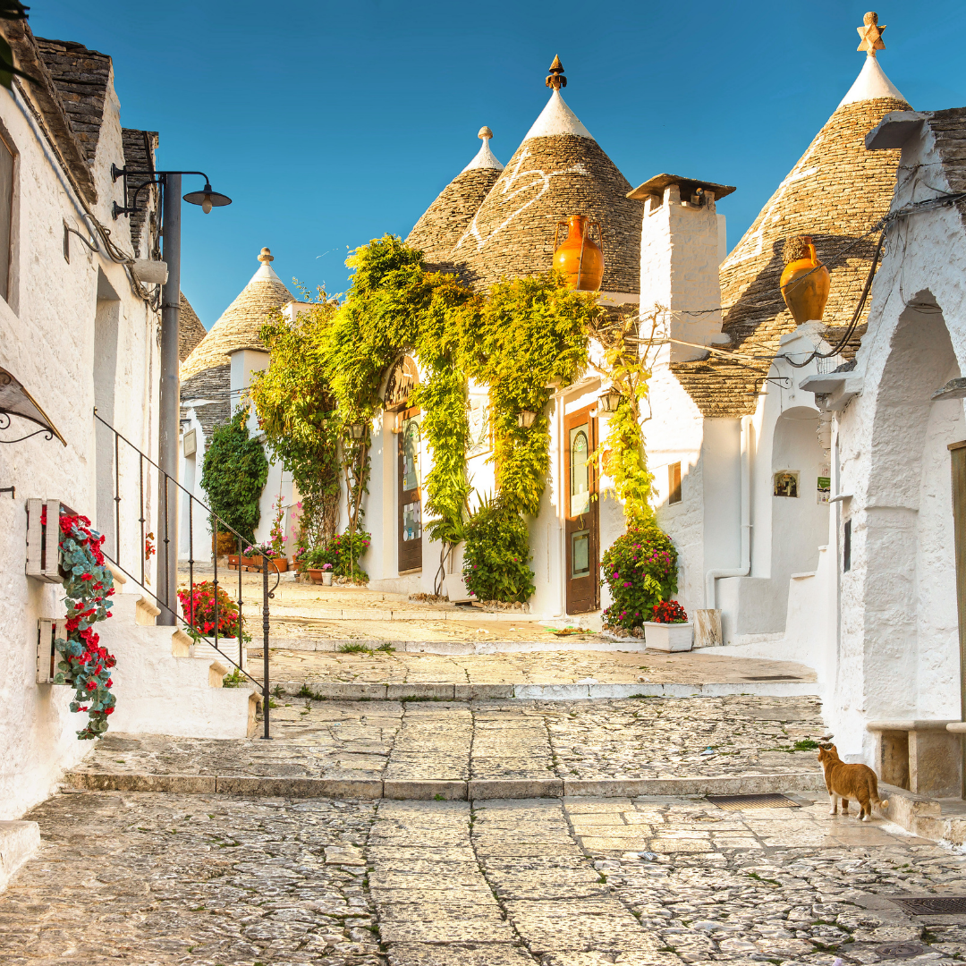 Small Group Tours in Italy - Livguine
