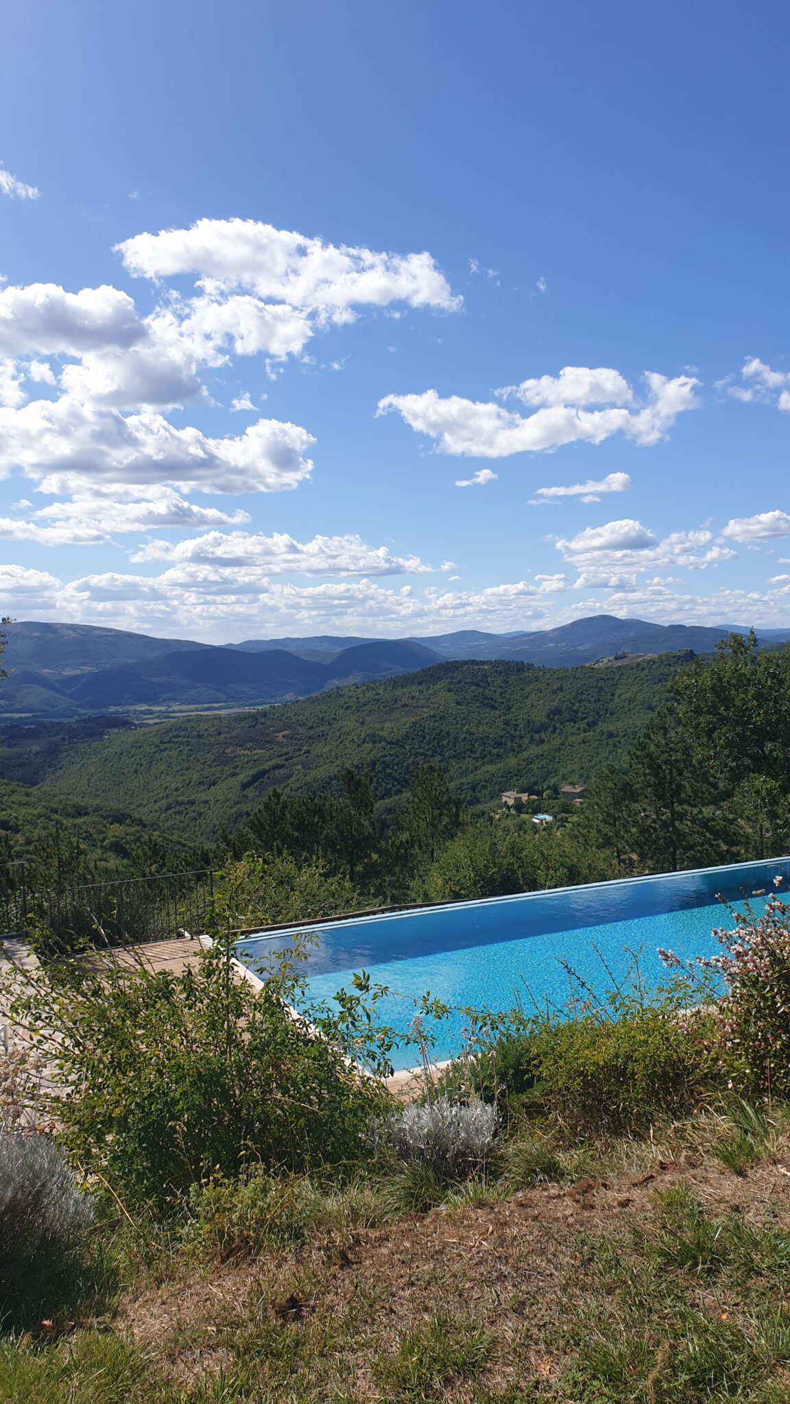 What it's like to WWOOF in Italy - Livguine
